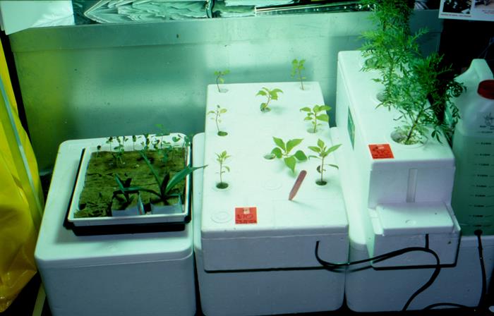 Hydroponic Management Home Study | Advanced Hydroponic Correspondence ...